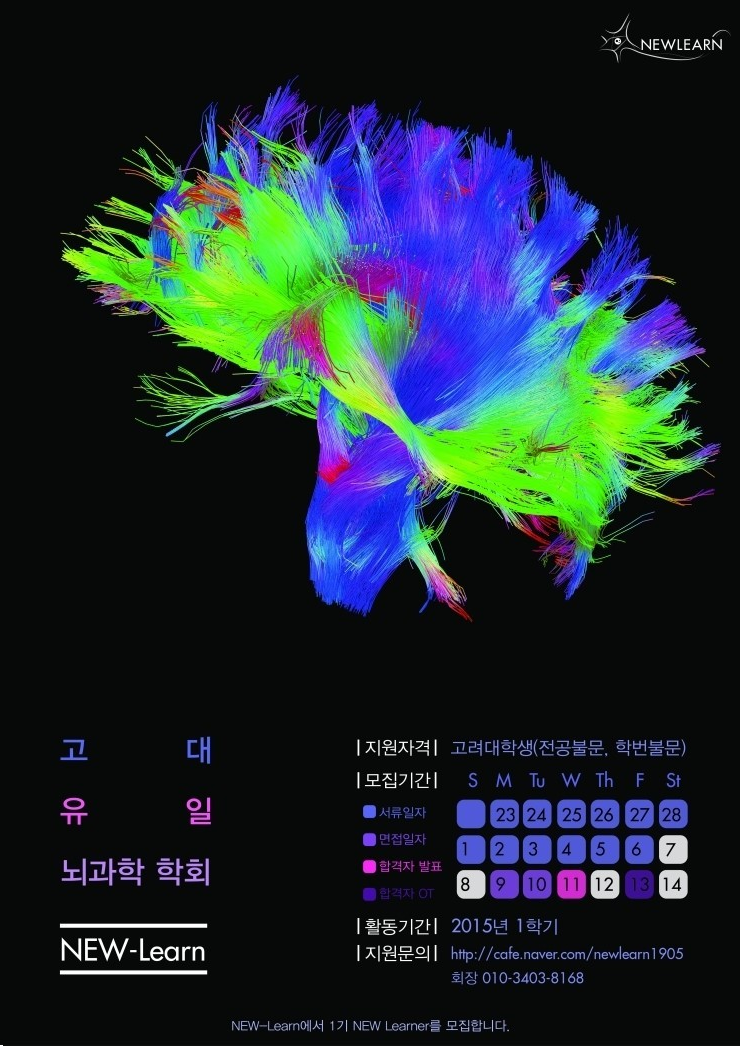 History – NewLearn