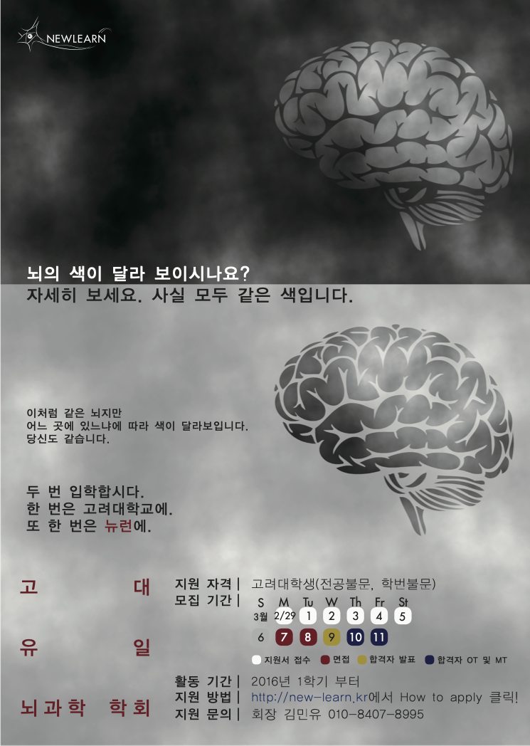 History – NewLearn